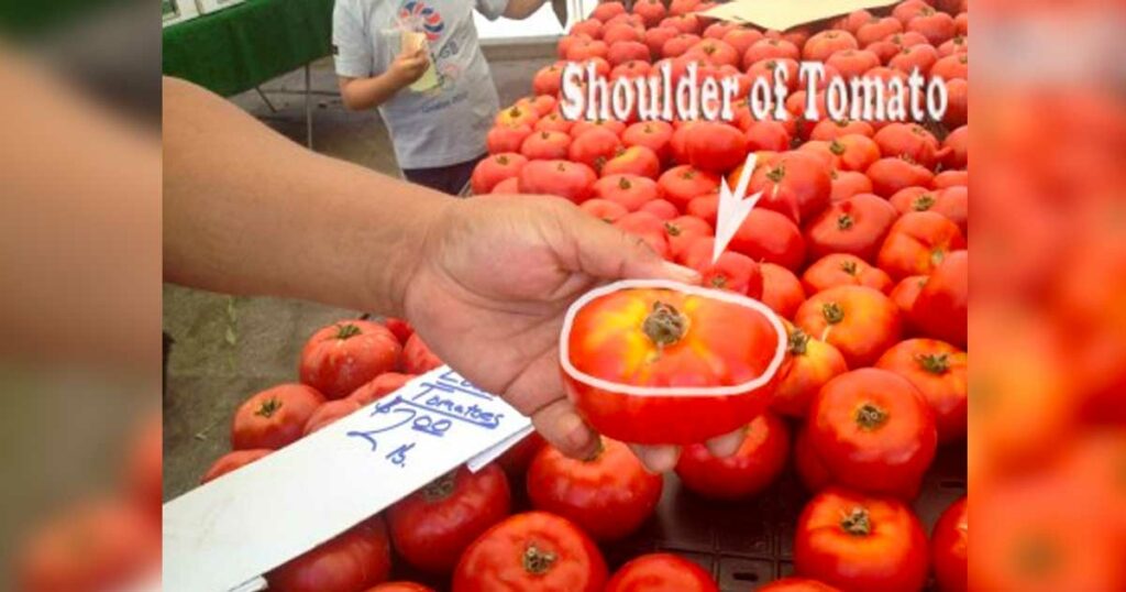 How to pick the perfect tomato: 7 key tips from an experienced farmer ...